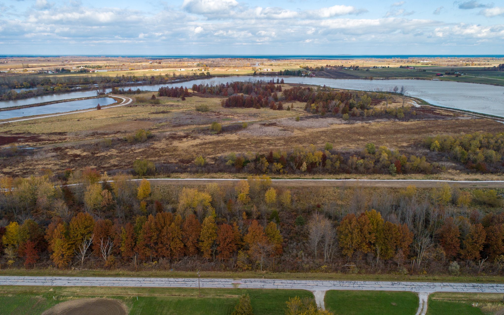 Project – Toussaint Marsh State Wildlife Area – Maumee AOC